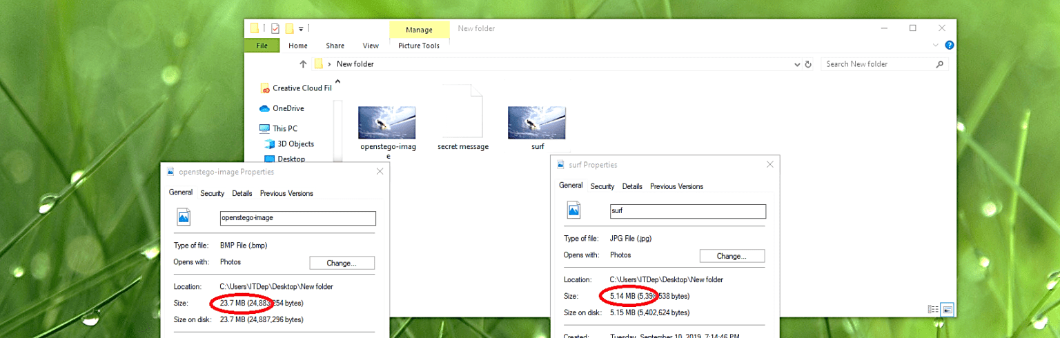 Conceal Any Data with OpenStego – May 12, 2026