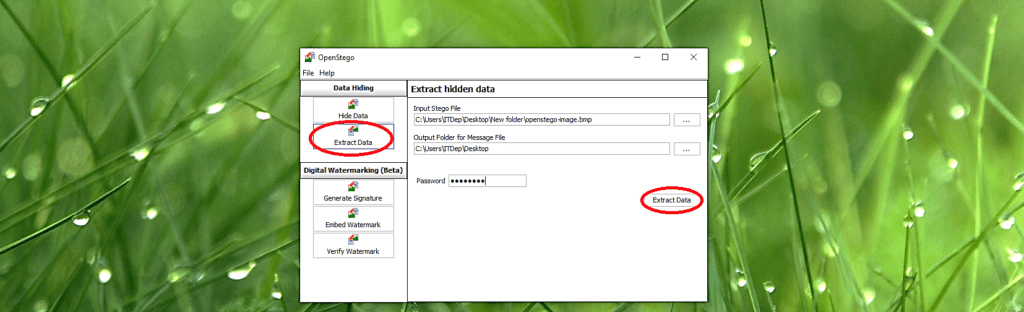 Conceal Any Data with OpenStego – May 21, 2026