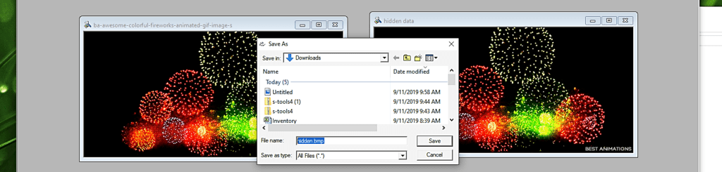 Steganography technique with S-Tools – October 1, 2025